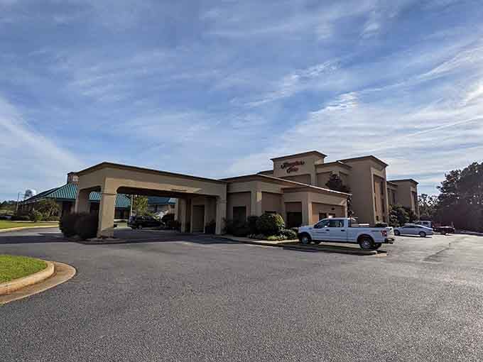 Even the chain hotels here seem to have absorbed the town's relaxed energy through some kind of architectural osmosis.