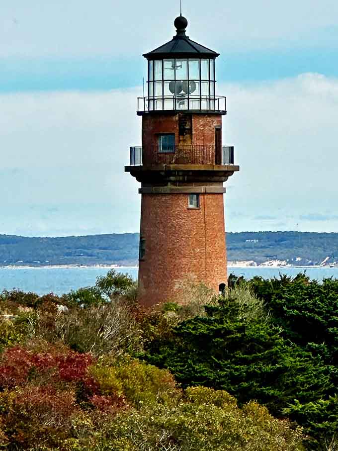 Standing tall since the 1800s, this brick beauty has seen more sunsets than all of us combined.