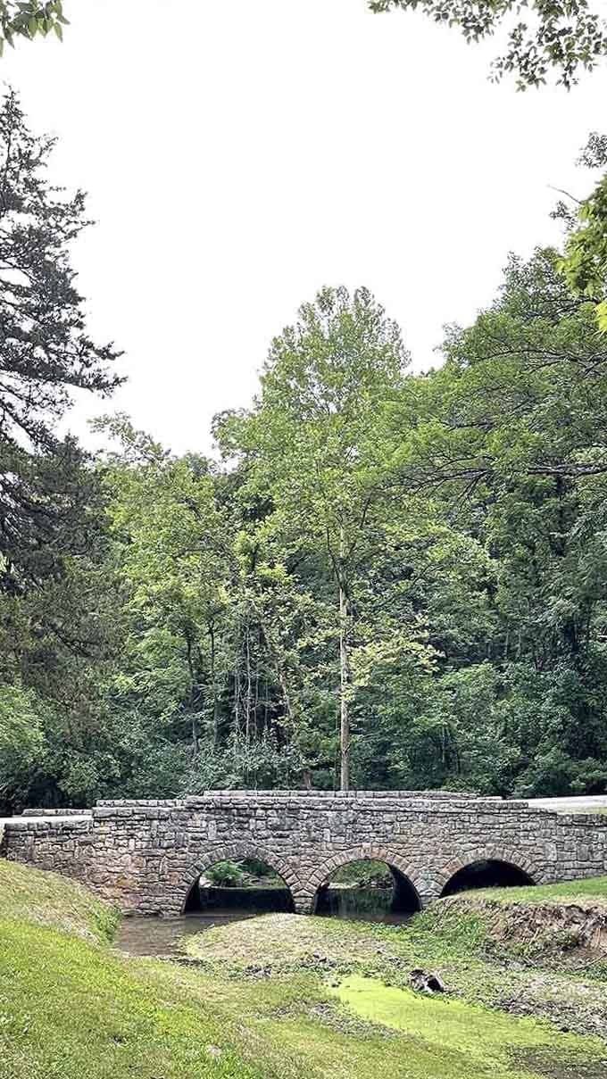 Stone bridges like this one have outlasted empires, fashion trends, and your uncle's predictions about the internet being a fad.