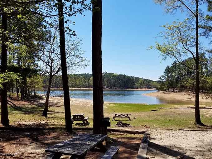 Picnic tables with a view that'll make you forget you're eating sandwiches from a cooler.