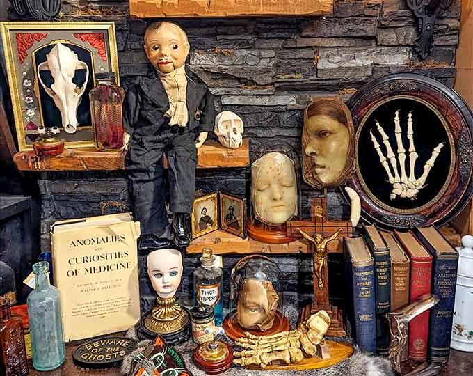 A ventriloquist dummy presides over his domain of skulls and antiquarian books like a macabre master of ceremonies.
