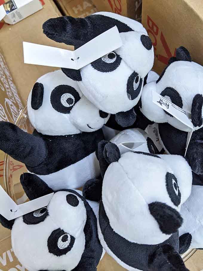 These adorable pandas prove that even stuffed animals deserve a second chance at bringing joy to someone's home.