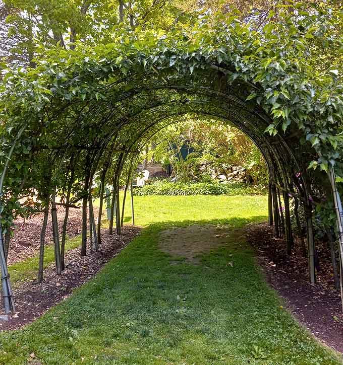 Walking through this leafy tunnel feels like entering Narnia, minus the talking animals and evil witches.