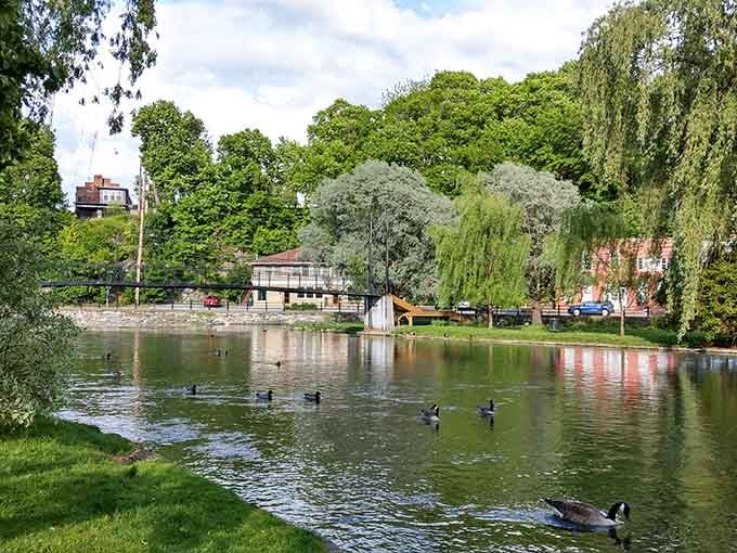 Enjoy the peaceful waterfront at Talleyrand Park, where the scenic views and historic charm make it a truly wonderful destination.