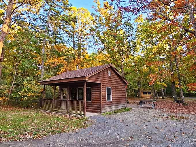 These cozy cabins prove that roughing it doesn't mean you have to actually rough it, thank goodness.
