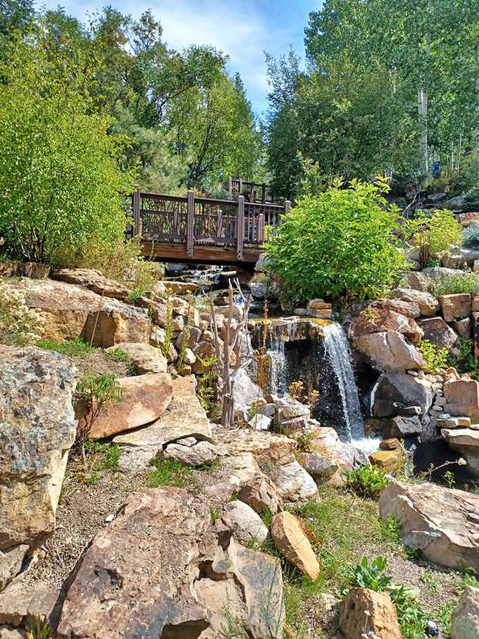 Water tumbling over rocks at 8,200 feet, because even Mother Nature likes to show off a little.
