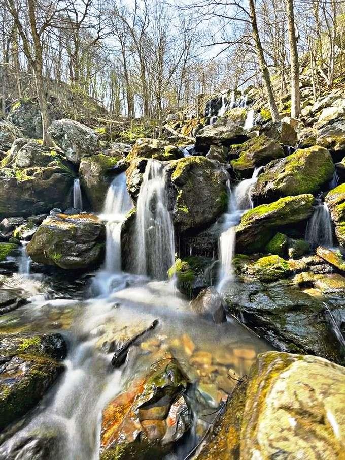 Water tumbling over moss-covered rocks like liquid silver, proving Mother Nature's still got better special effects than Hollywood.
