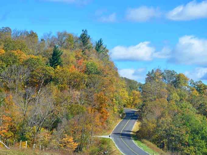 These winding mountain roads are what GPS systems dream about when they want to feel truly alive and useful.