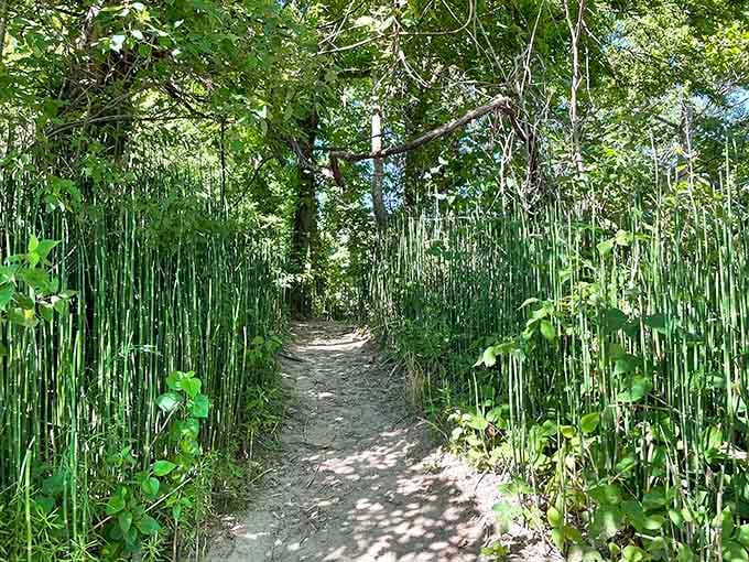 Nature's corridor leads you through a tunnel of green toward Missouri's most delightfully confusing destination.