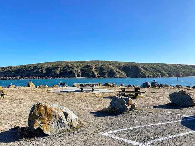 Picnic tables overlooking the bay: where seagulls audition for your french fries with surprising persistence.