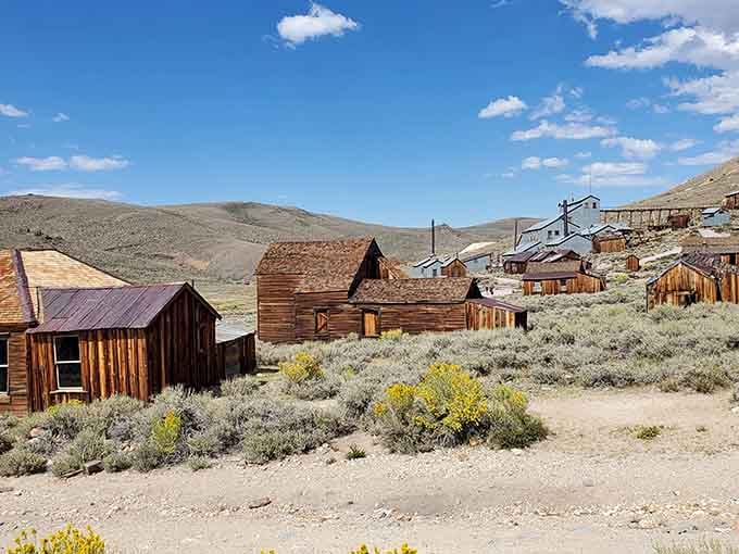These wooden homes have weathered more storms than your uncle's favorite fishing stories, and they're equally captivating.