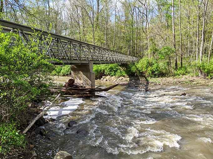 This footbridge crosses Brandywine Creek where the water's still catching its breath after the big drop.