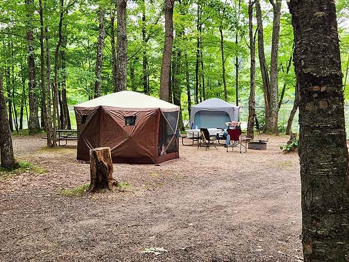 Your campsite neighbors are tents and trees, which beats noisy hotel hallways and ice machines any day of the week.