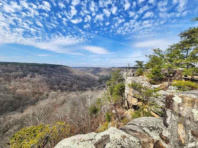 Winter reveals the canyon's bones, stripping away the green curtain to show off millions of years of geological handiwork.