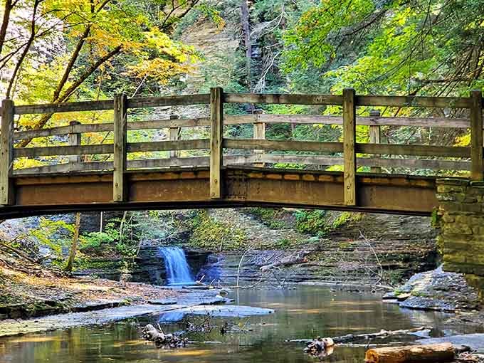 A wooden footbridge frames a delicate cascade below, offering the kind of view that makes you forget your knees hurt.