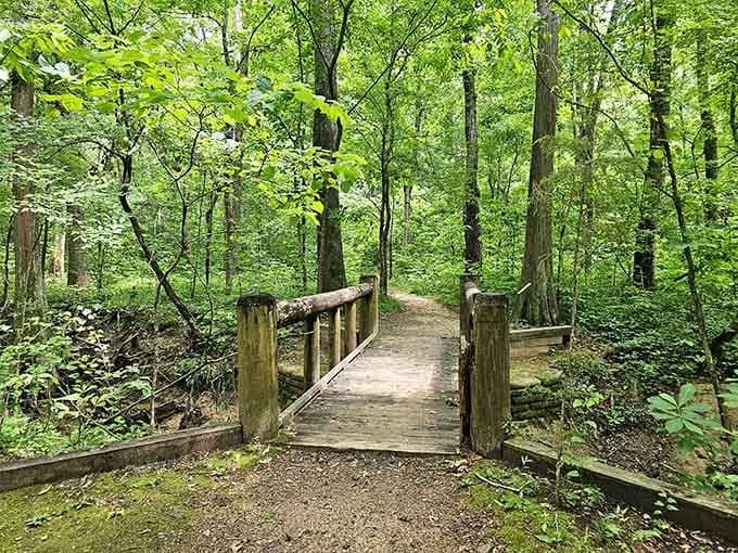 Forest trails wind through greenery so lush, you'll forget you're still in Texas and not Narnia.
