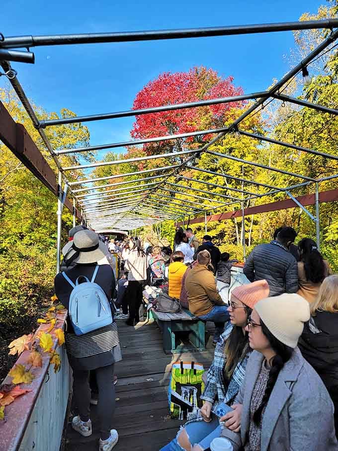 Fall foliage from an open-air car hits different when you're moving at a pace that lets you savor it.