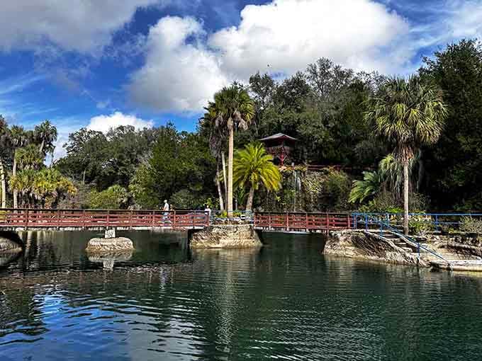Crystal-clear water, wooden bridges, and enough natural beauty to make your camera work overtime capturing every angle.