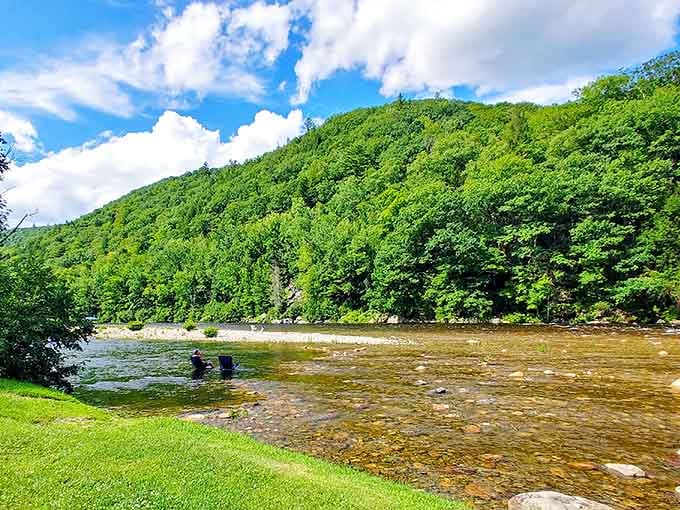 The Deerfield River flows golden and inviting, practically begging you to get your feet wet this afternoon.