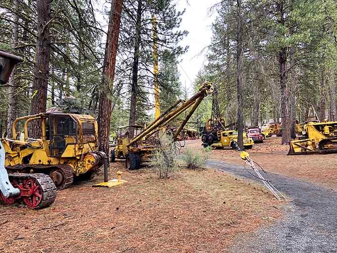 Vintage machinery scattered like a giant's abandoned toy collection in the forest.