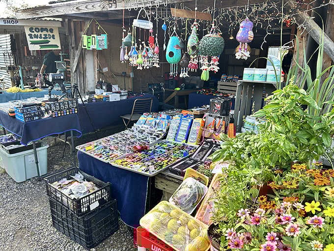 Wind chimes, garden ornaments, and handcrafted treasures create a visual feast that changes with every visit here.