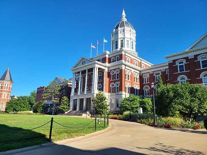 Jesse Hall's dome commands attention like the star student who actually earned it, no participation trophies here.