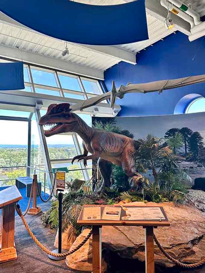 Nothing says "prehistoric accuracy" quite like a dinosaur display with better lighting than most restaurants you've visited.
