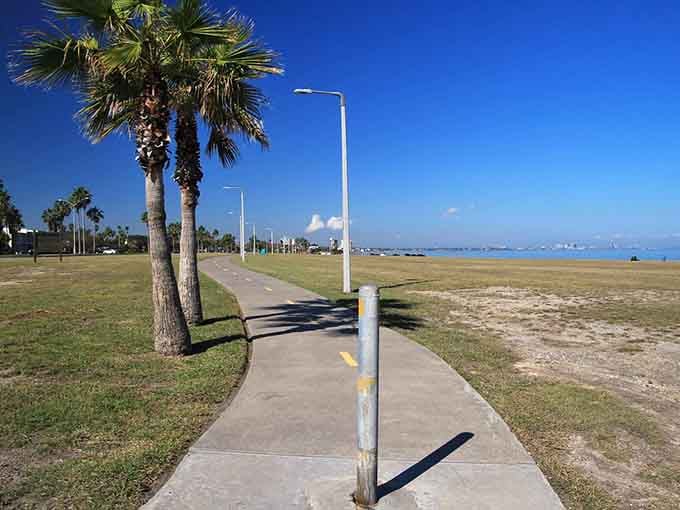 Swantner Park's walking paths offer million-dollar bay views accessible to anyone with functional legs and common sense.