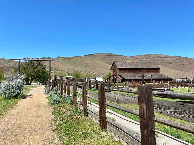 Those weathered ranch buildings tell stories that no history book could ever quite capture properly.