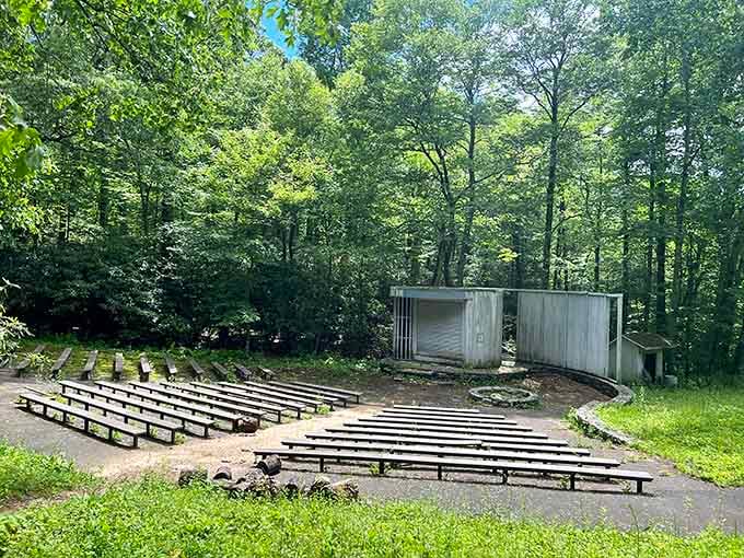 This outdoor amphitheater hosts nature's greatest show: absolute silence interrupted only by birdsong and rustling leaves.