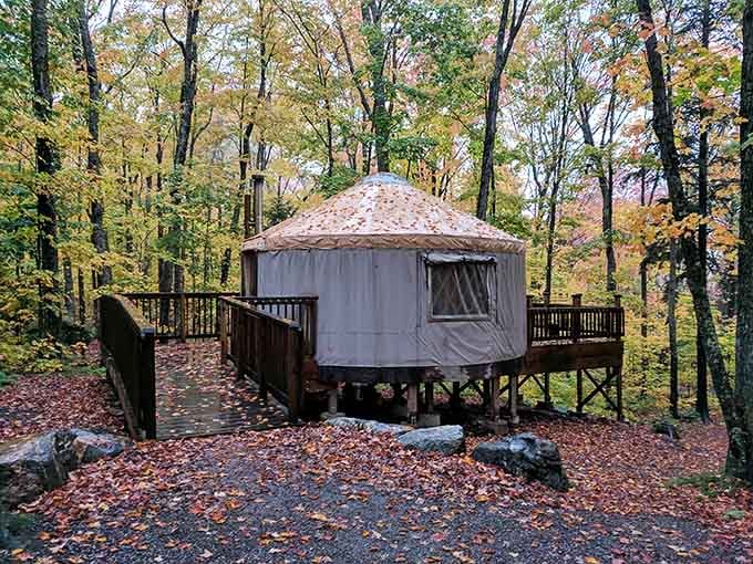 Your yurt awaits, perched like a cozy spaceship that landed in the perfect spot for stargazing.