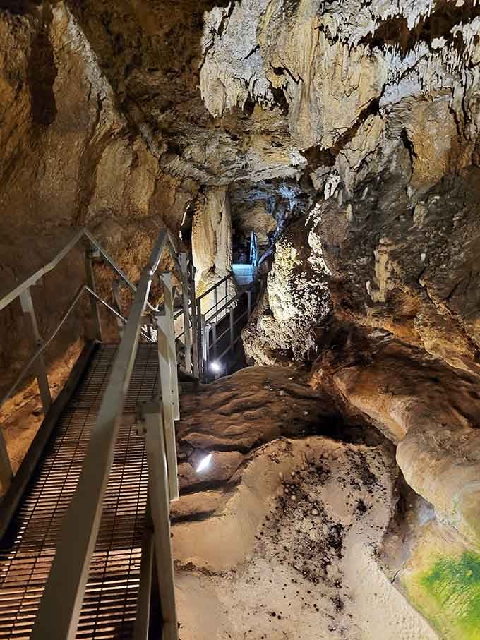 These limestone formations create a natural cathedral that puts most human architecture to shame, honestly.