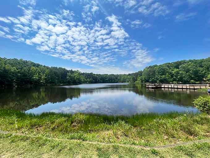 That mirror-perfect lake reflection belongs on a postcard, except you're actually standing right there experiencing it.