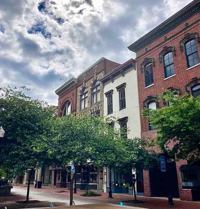 Victorian architecture that survived when so many others didn't, standing proud like the last rotary phone user at a smartphone convention.