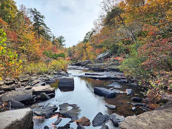 Where water meets ancient rock and fall foliage, Alabama proves it can compete with any postcard from Vermont.