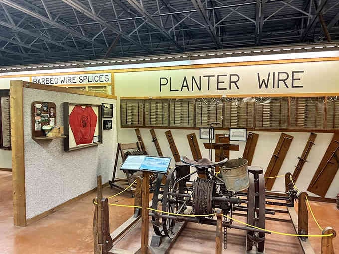 Planter wire displays showcase the gentler side of barbed wire, proving not all sharp things were meant for keeping cattle in.