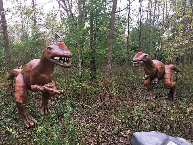 Nothing says "run for your life" quite like stumbling upon a pair of toothy predators during your leisurely woodland stroll.