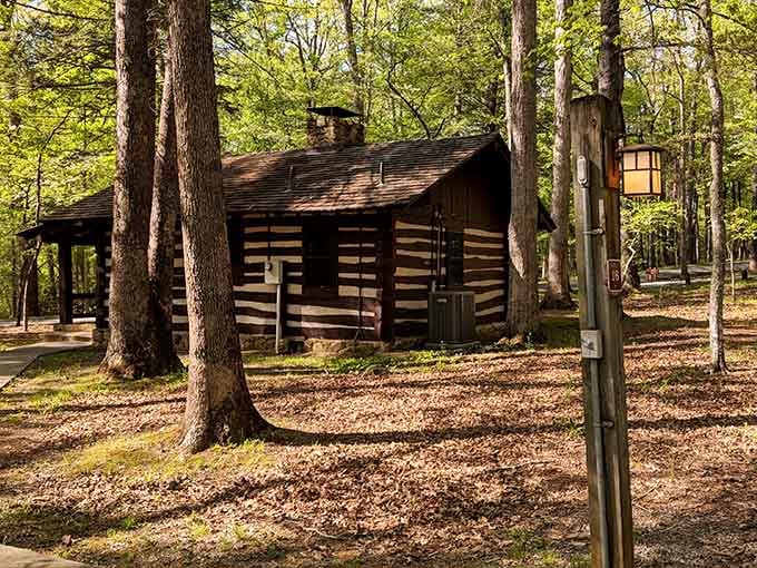 Log cabins nestled among towering trees offer the perfect blend of rustic charm and actual comfort.