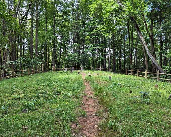 The trail pathway, and forest reminding you why people have been coming here for generations.
