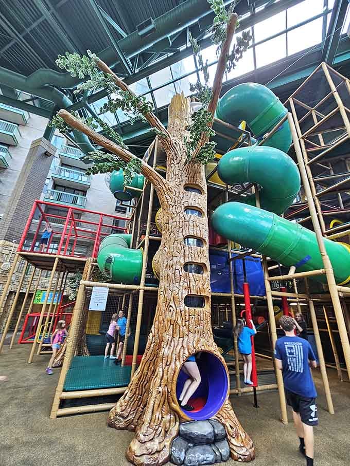 This tree structure has more tubes than a water park and more excitement than your average Tuesday afternoon.