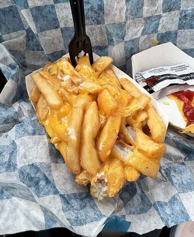 These cheese-smothered fries prove that sometimes the simplest pleasures are the most profoundly satisfying ones available.