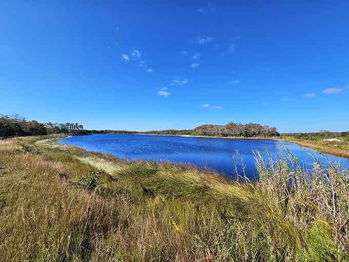 When the sky meets water this perfectly, you realize why Florida's natural beauty rivals any postcard destination.