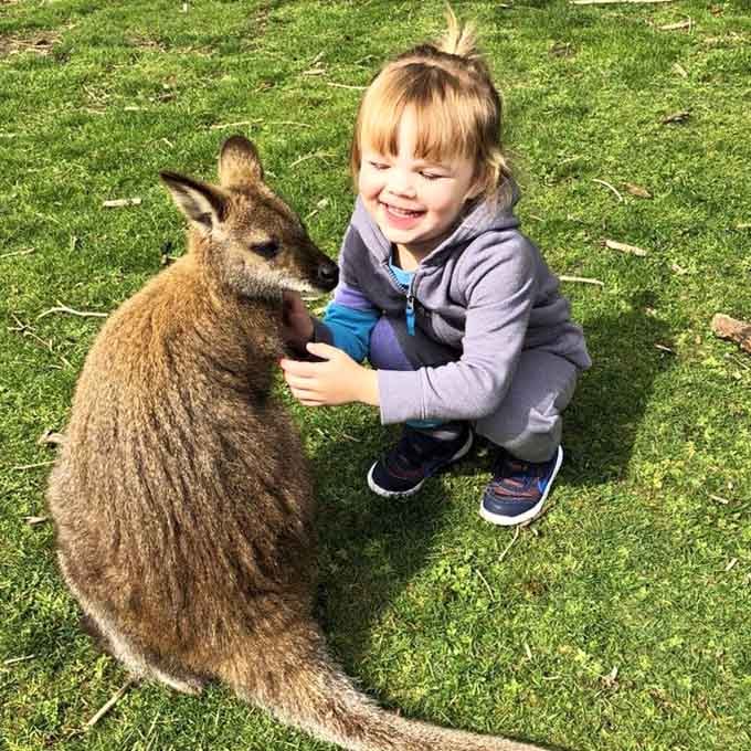 This little joey just made every stuffed animal in the toy store instantly obsolete with one adorable glance.