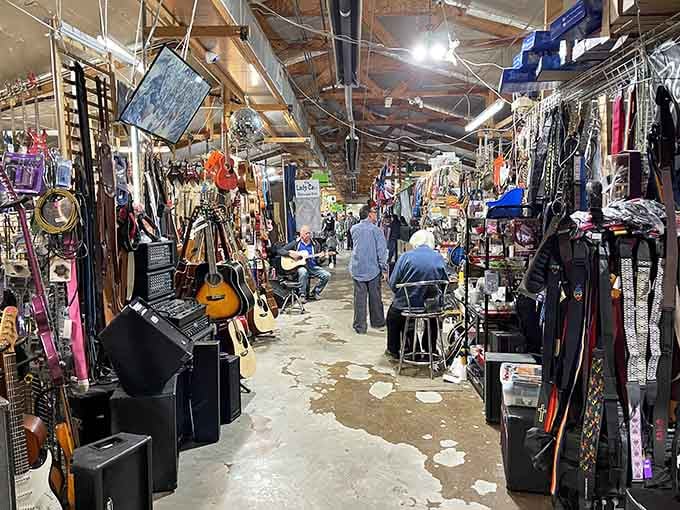 Musical instruments hang like a rock star's fever dream, waiting for their next performance opportunity.