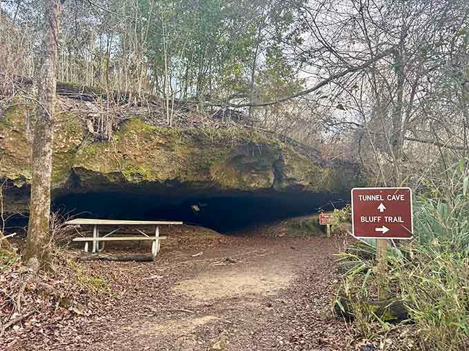 Nature's own parking garage entrance, minus the ticket machine and fluorescent lighting that makes everyone look terrible.