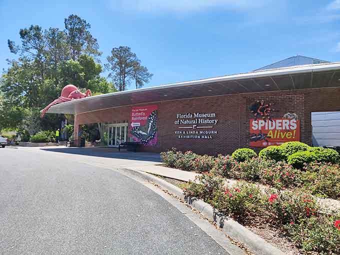 The Florida Museum of Natural History offers world-class exhibits without the world-class admission prices found elsewhere.