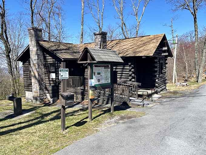 This rustic nature center looks like it was built by someone who actually understood what "charming" means.