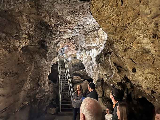 When nature decides to show off, it builds cathedral ceilings underground that put human architecture to shame.