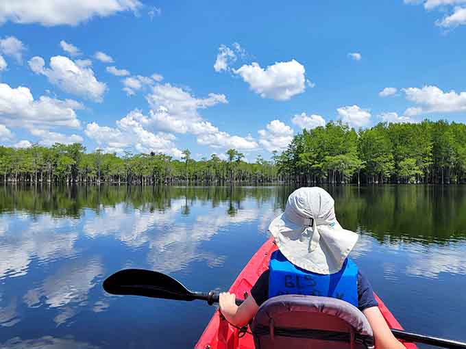 Paddling through this cypress forest feels like you've kayaked straight into a National Geographic documentary about the Deep South.