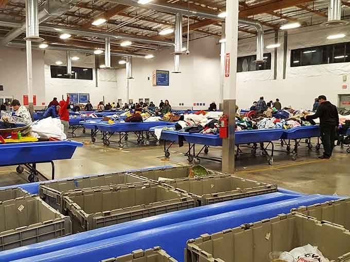 The hunt is on as shoppers dig deep, searching for that perfect find among the organized chaos of possibilities.